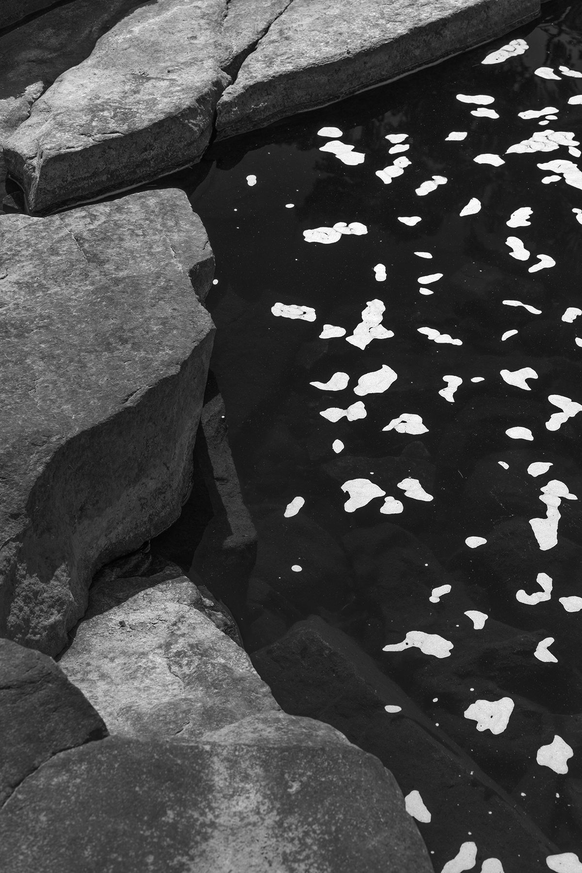 Rafael Concepcion | Art and Art History