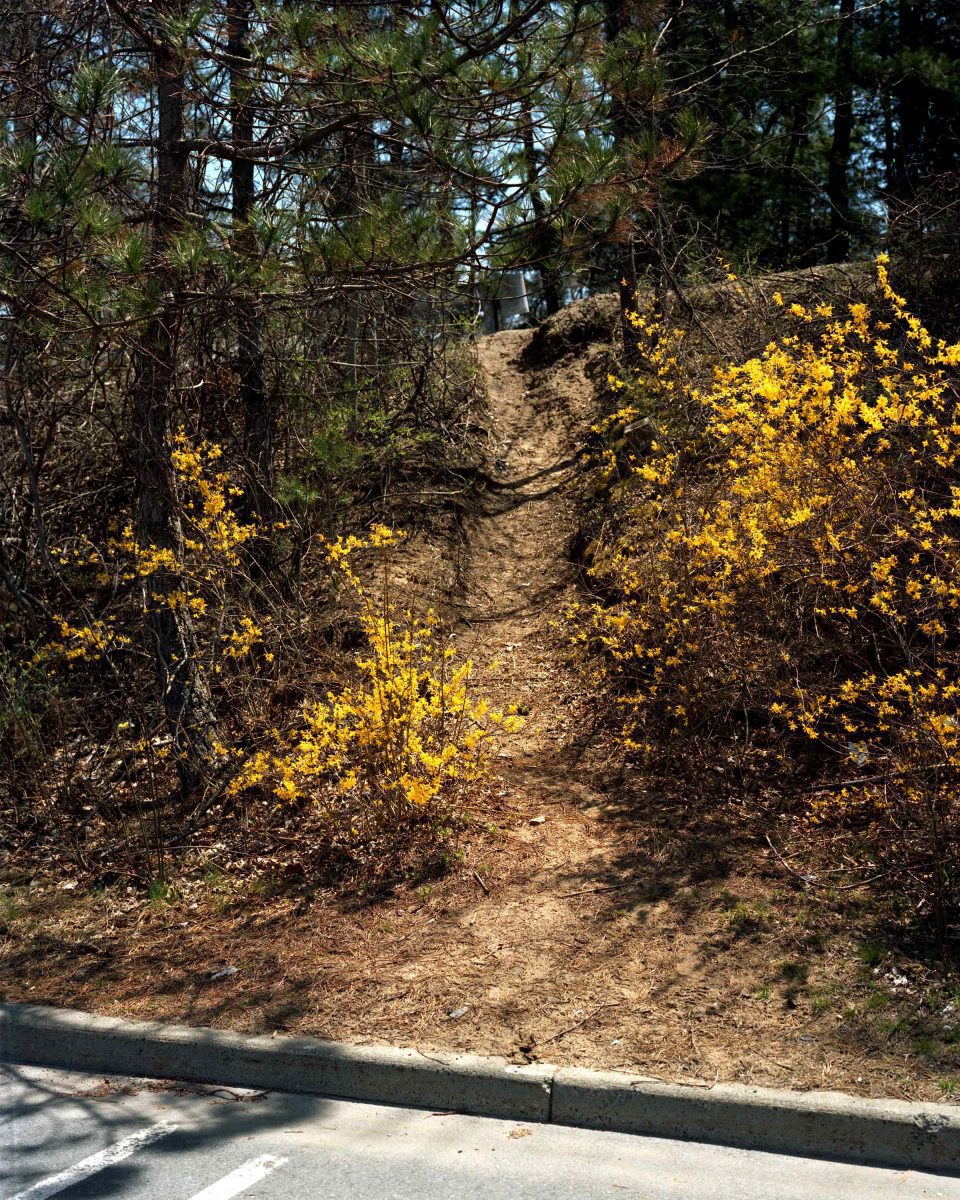 Corbett Berger | Art and Art History